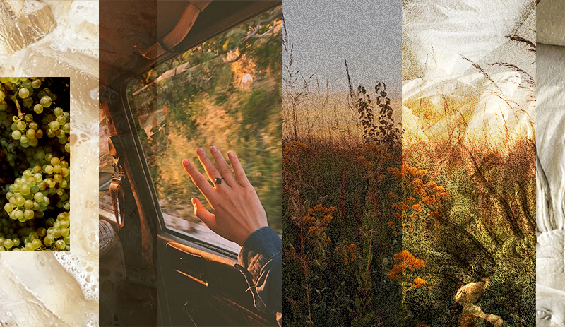 Embracing Mabon: Celebrating the Autumn Equinox - Aladastra Blog